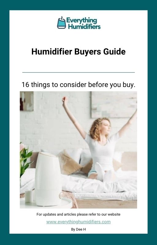 How to Prevent Mold when using a Humidifier - Everything Humidifiers